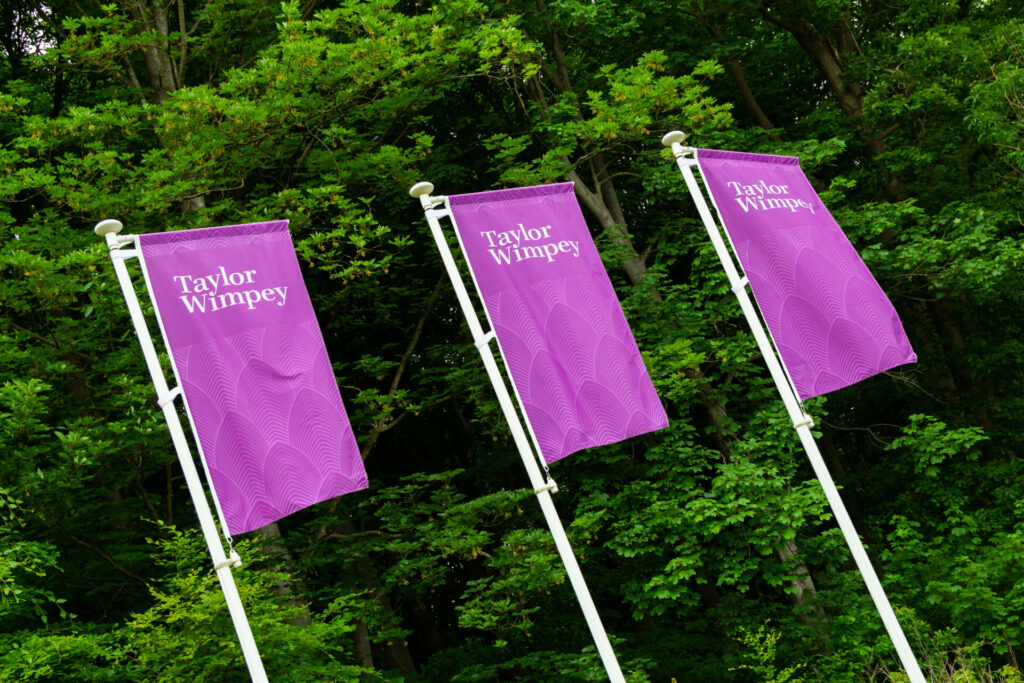 Four reasons why you need quality flags and flagpoles for your new ...